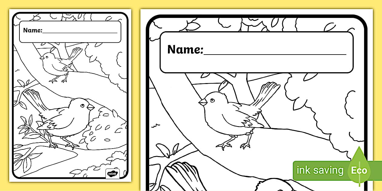Sparrow Colouring Book Cover (teacher made) - Twinkl