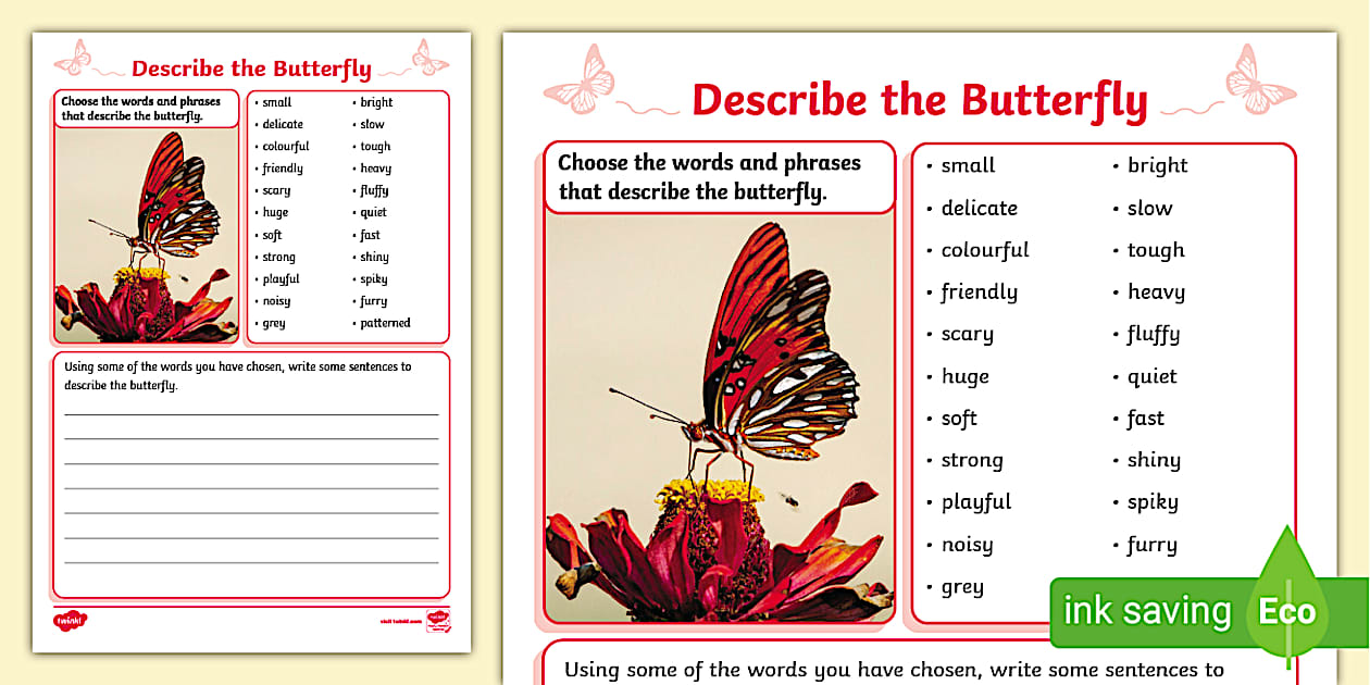 Describe the Butterfly Writing Activity,butterfly writing