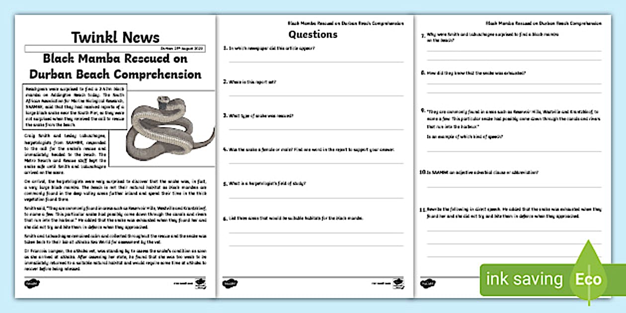 Reading Comprehension Grade 4 | Black Mamba News Story