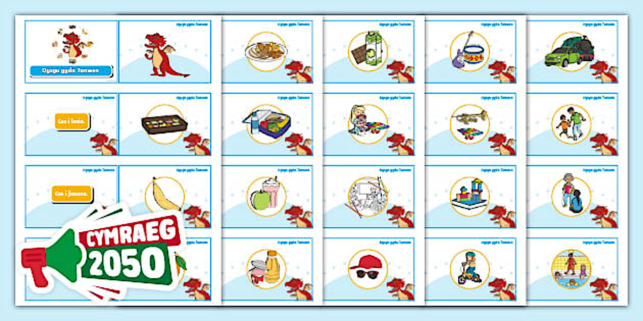 Learn Welsh: Lanyard Ces i... / 'I Had...' Lanyard Cards