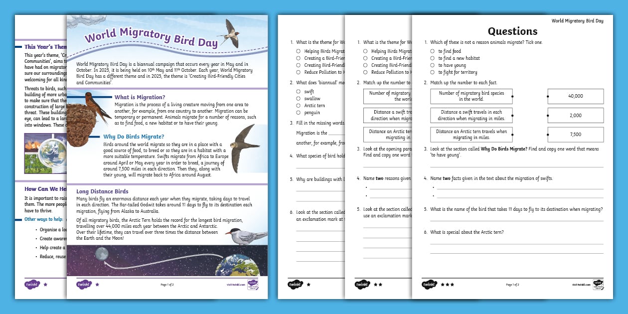 UKS2 World Migratory Bird Day Differentiated Reading Comprehension