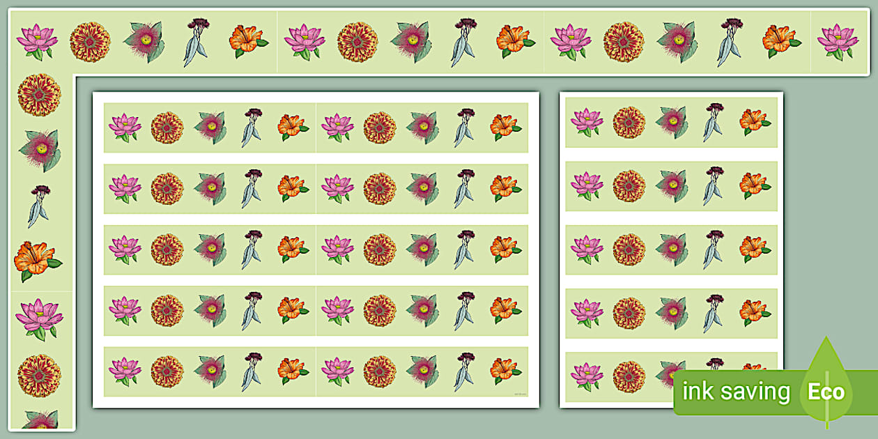 Exotic Flower Display Borders (teacher made) - Twinkl