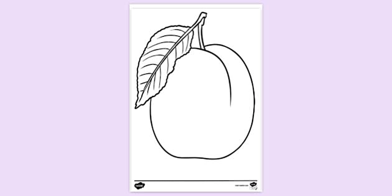 Plum Colouring Page | Colouring Sheets (teacher made)