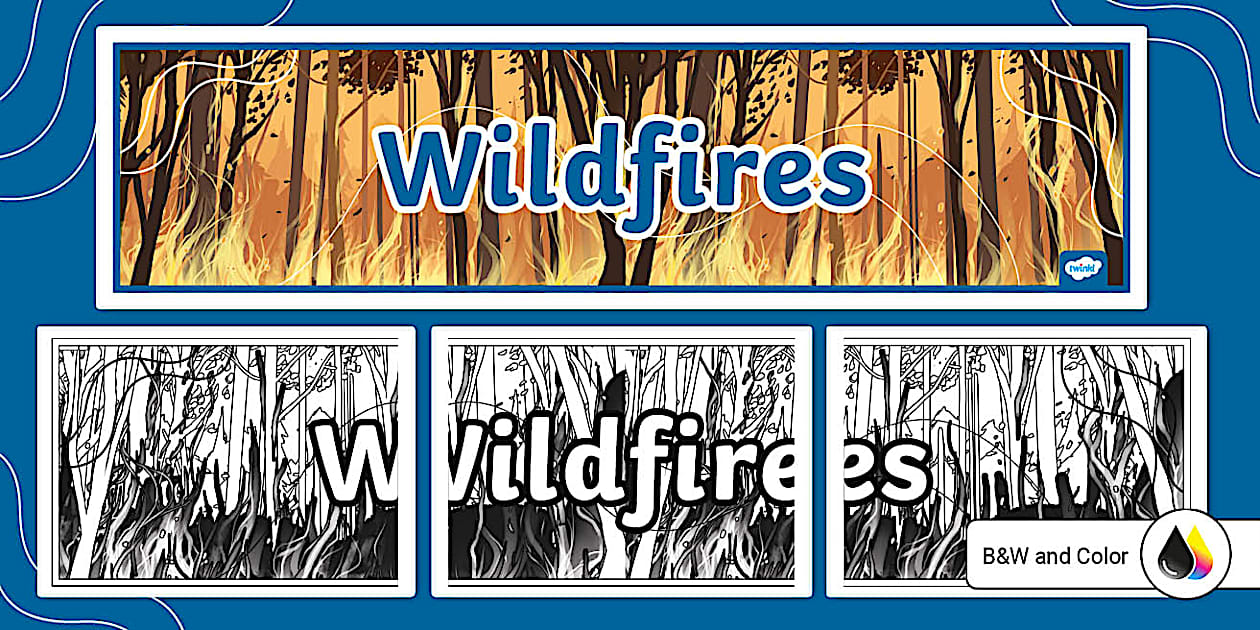 Wildfires Banner (Teacher-Made) - Twinkl