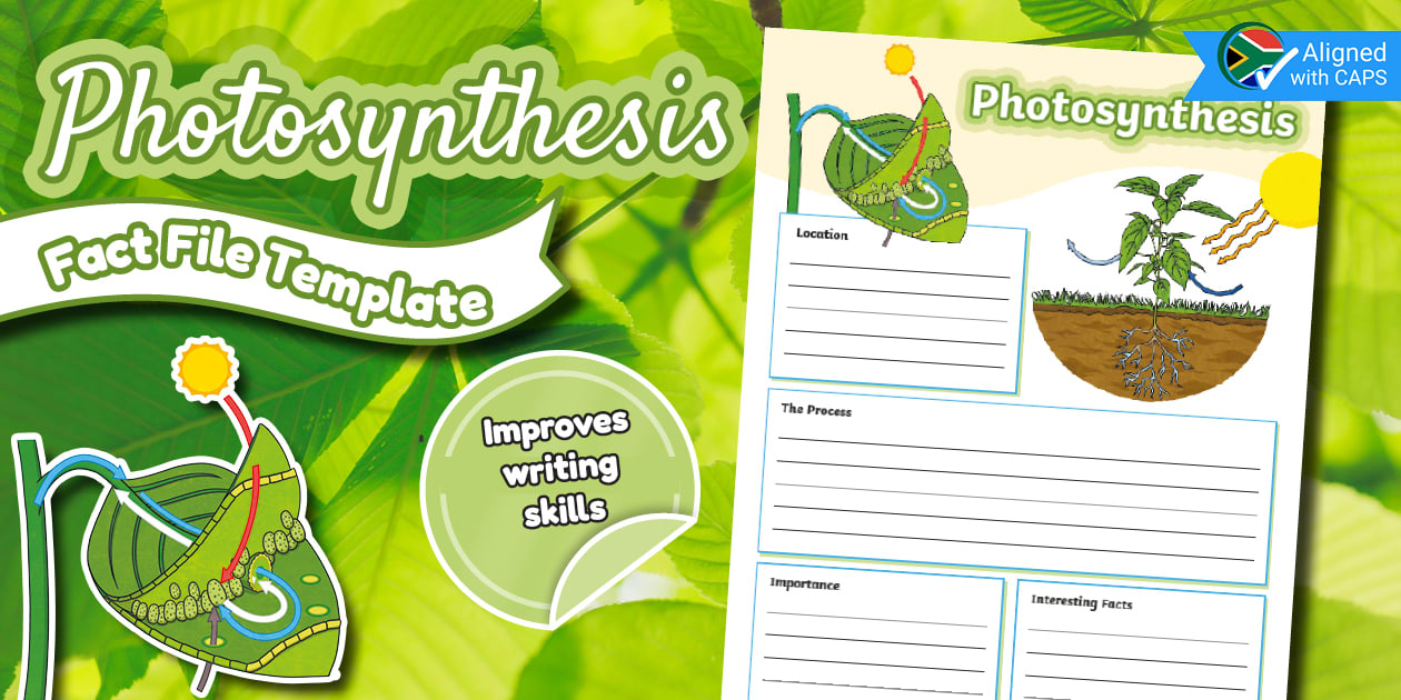 * NEW * Intermediate Phase Natural Science - Photosynthesis - Fact File