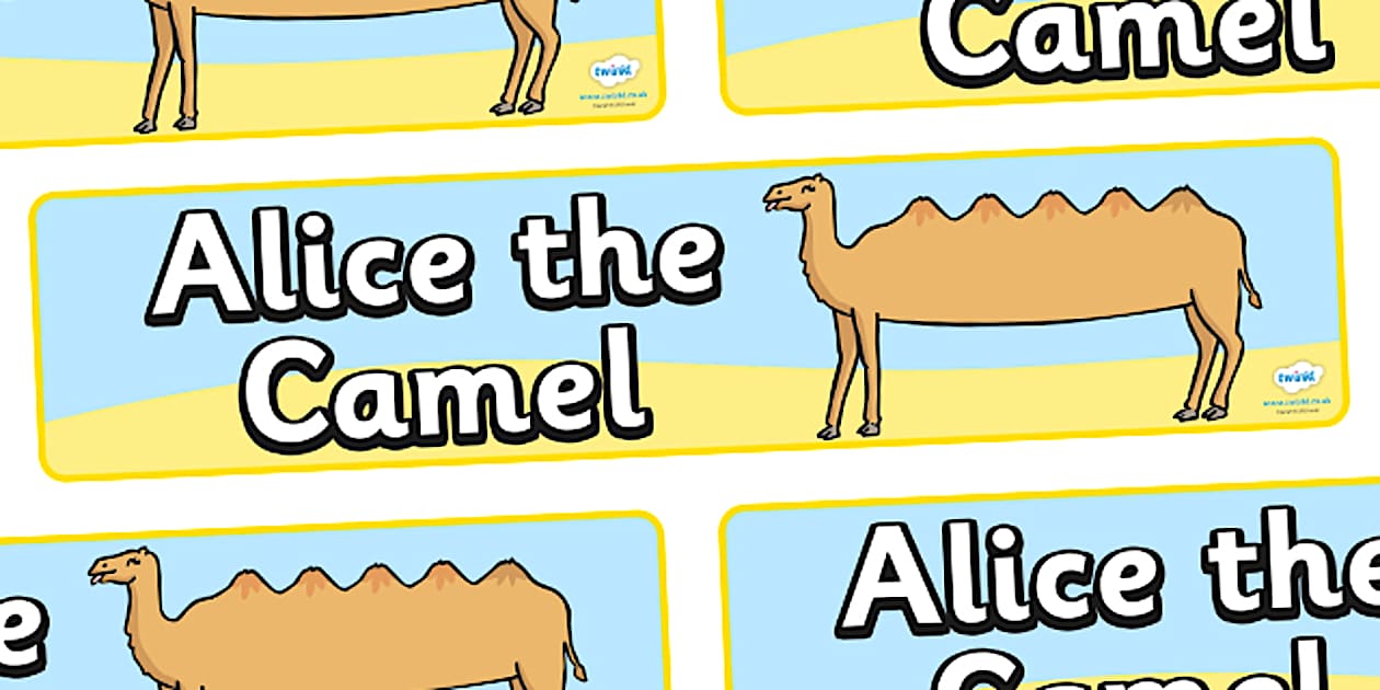 Alice the Camel Display Banner (teacher made) - Twinkl