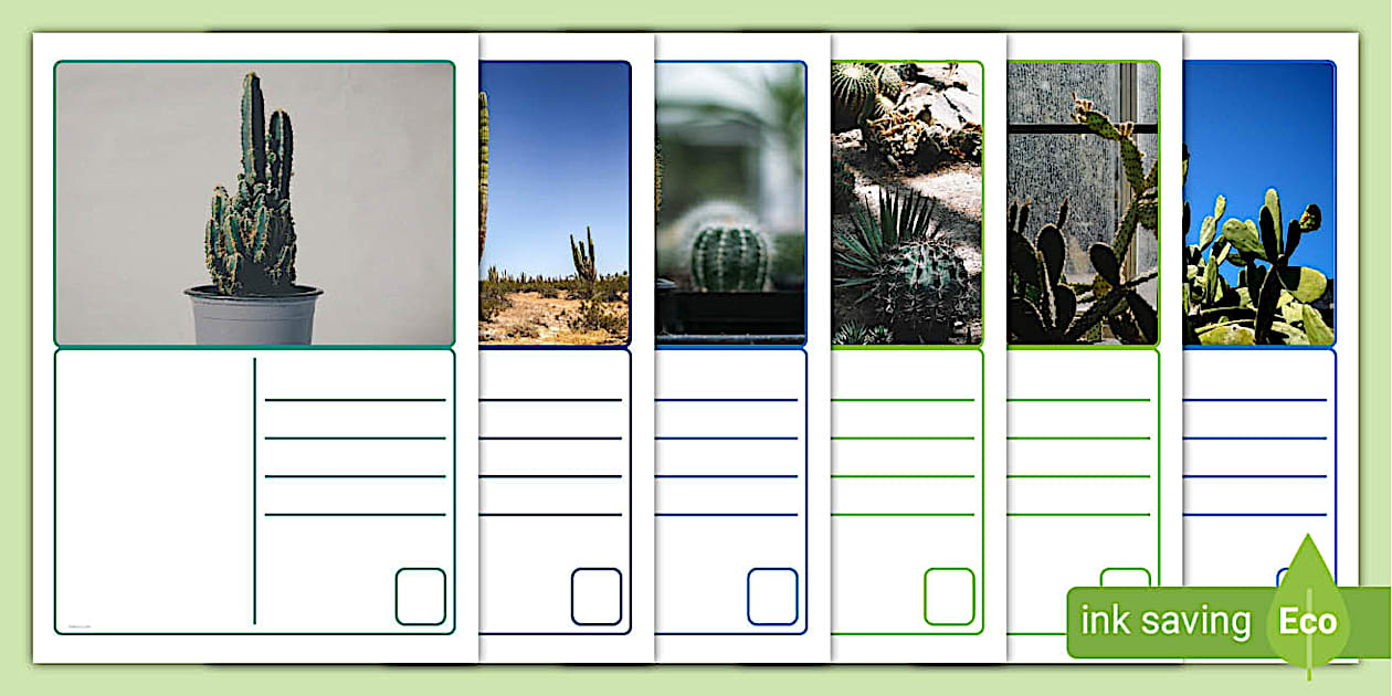 Cactus Postcards (teacher made) - Twinkl