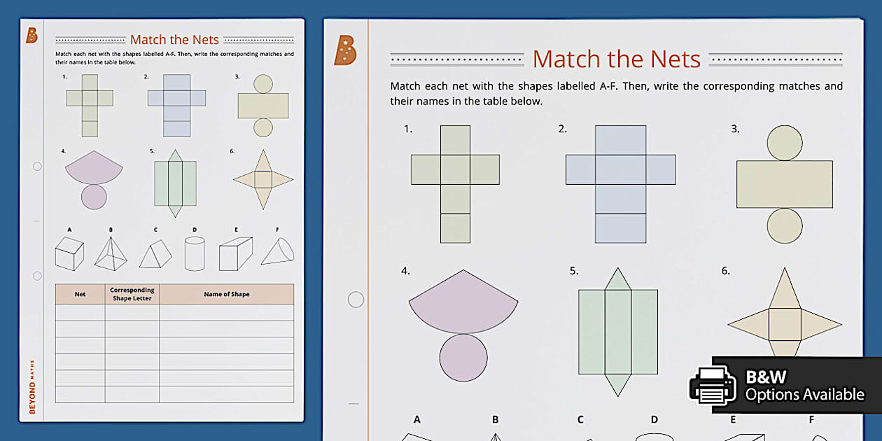 Match the Nets (teacher made) - Twinkl
