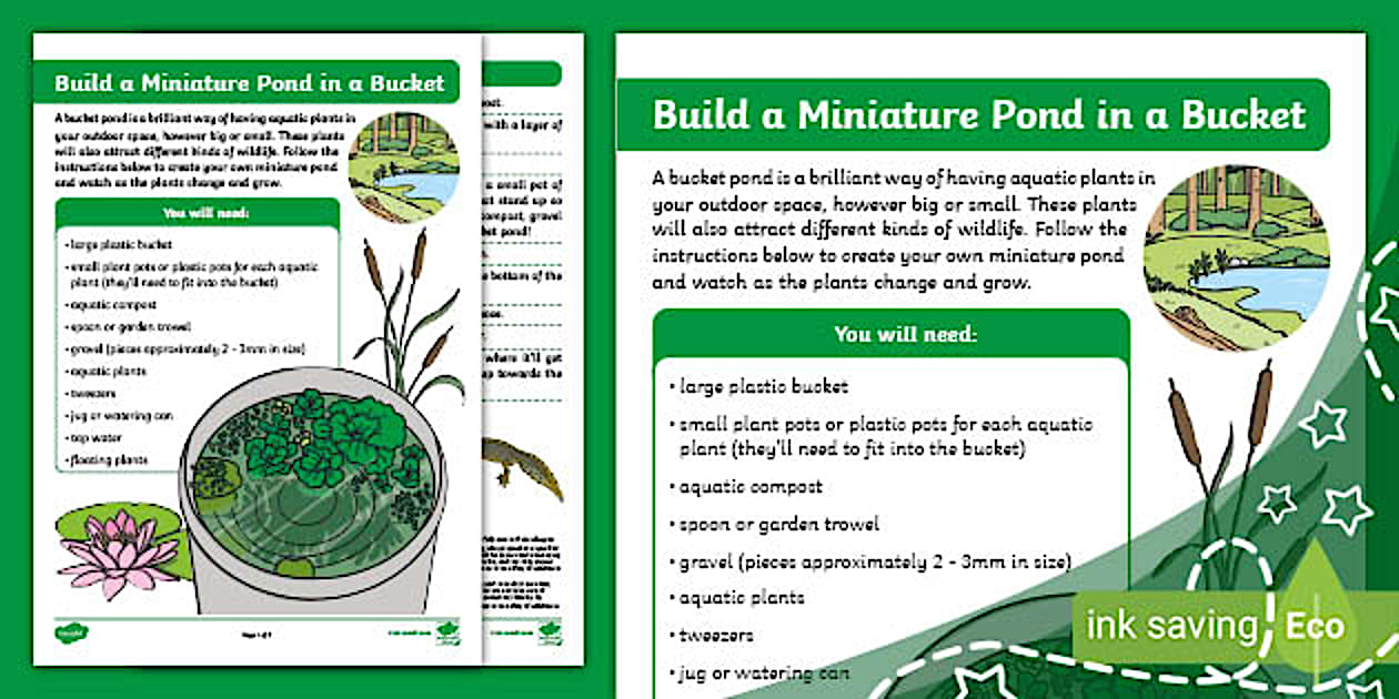 Make a Pond in a Bucket | Gardening Craft (profesor hizo)