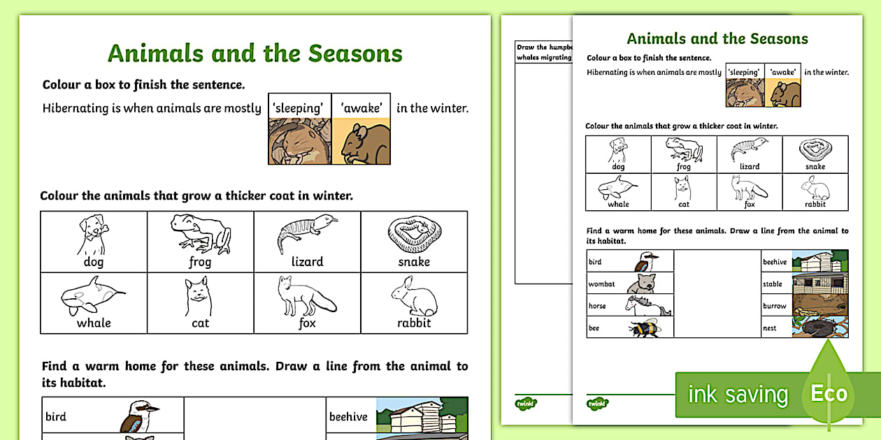 NSW Animals and the Seasons Worksheet (teacher made)