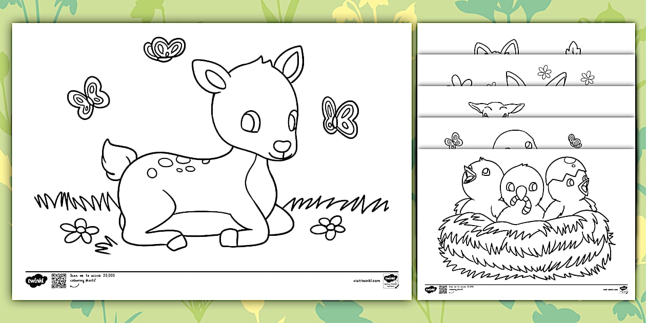 Baby Animals Born in Spring Colouring Pack (teacher made)