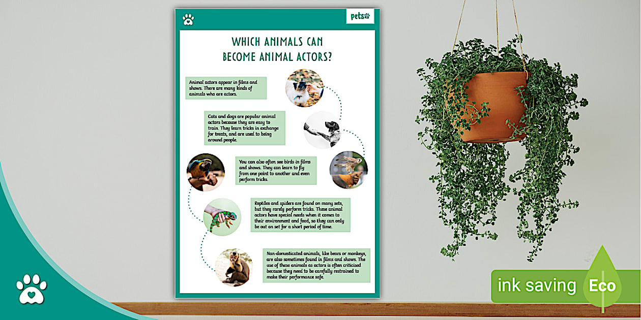 Which Animals Can Become Animal Actors? Fact Sheet - Pets