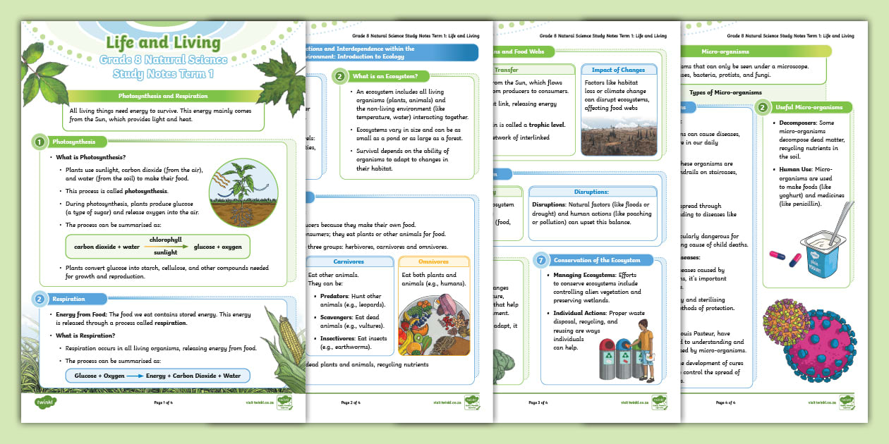 Grade 8 Natural Science Study Notes Term 1: Life and Living