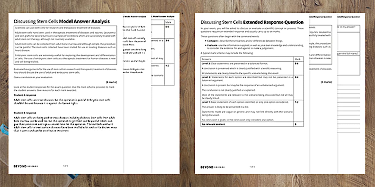 Stem Cells Discussion Extended Response Activity | Beyond