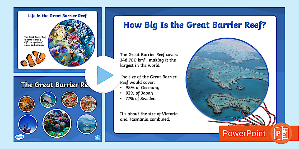 The Great Barrier Reef PowerPoint (teacher made) - Twinkl