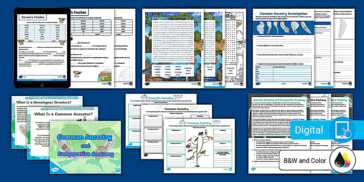 Eighth Grade Common Ancestry and Comparative Anatomy Pack