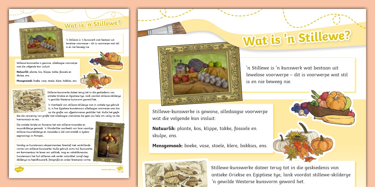 Wat is Stillewe-Sketse? Feite Lêer (teacher made) - Twinkl