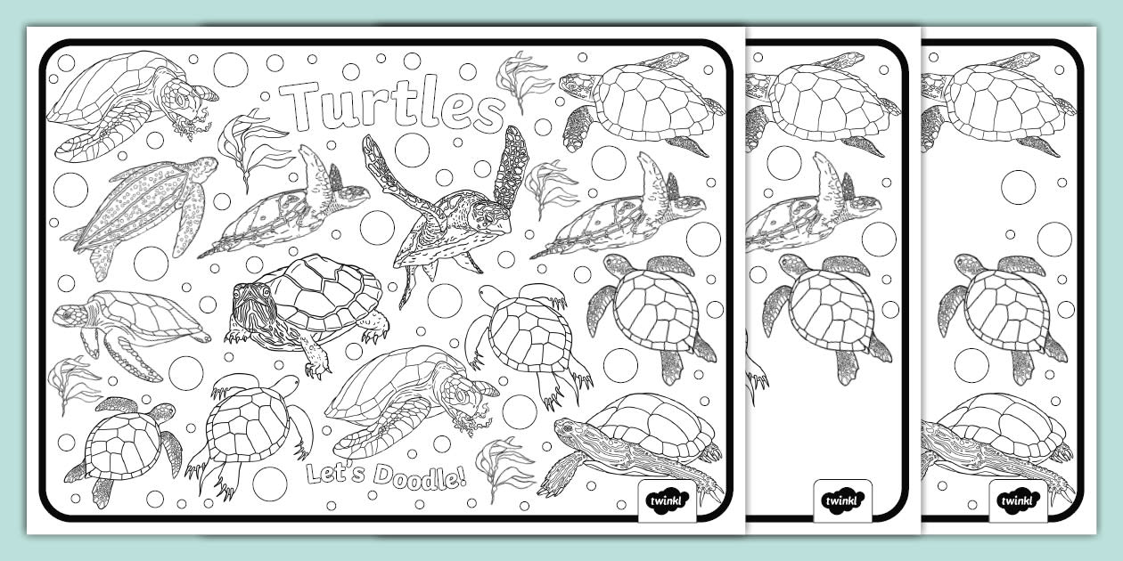 Turtles Doodle Colouring Pages - Twinkl - KS1 (teacher made)