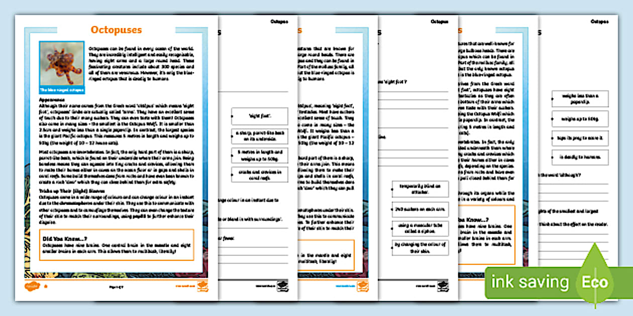 Octopus Reading Comprehension Activity | Twinkl - Twinkl