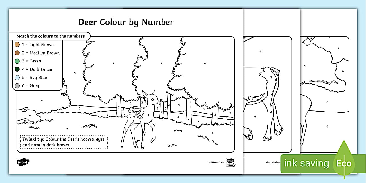 Deer Colour by Number Pages (teacher made) - Twinkl