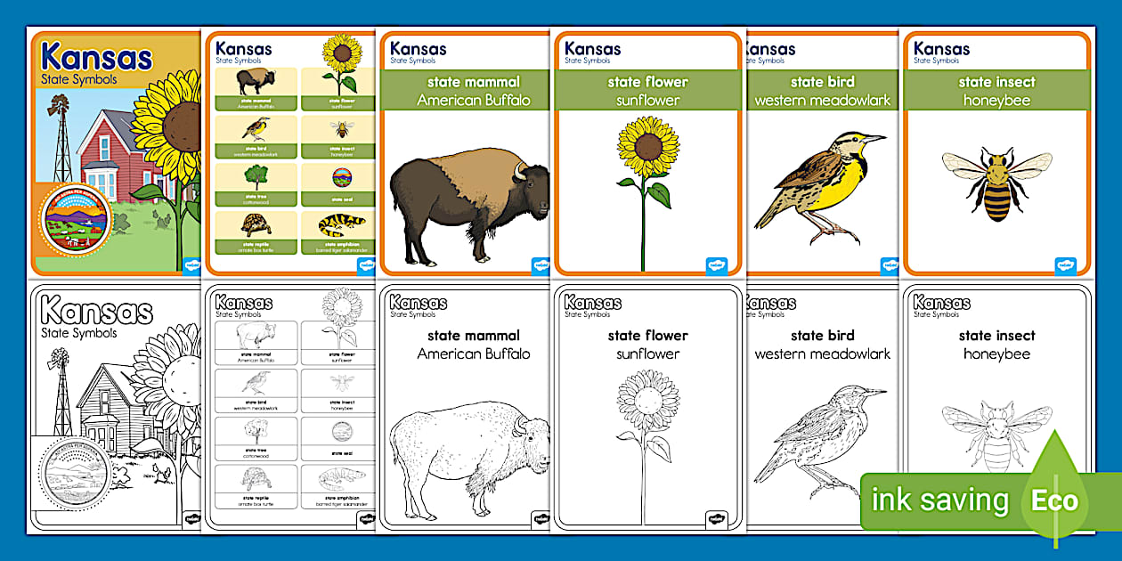 Kansas State Symbols Coloring Pages & Posters | Twinkl