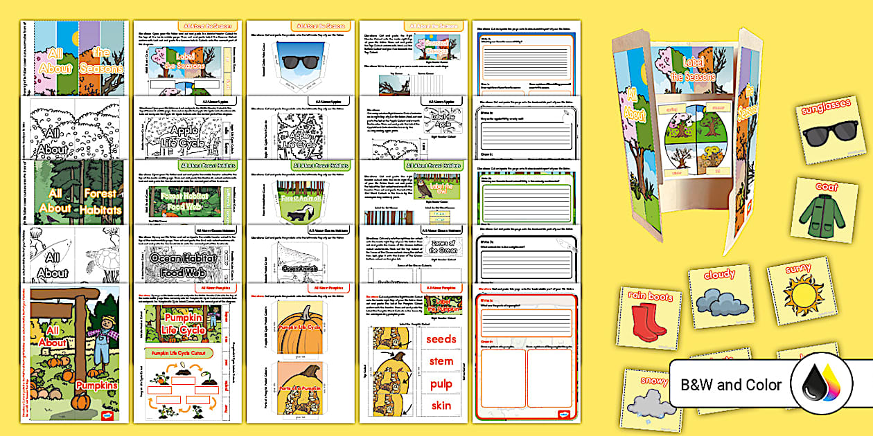 Kindergarten Science Trifold File Folders Activity Pack