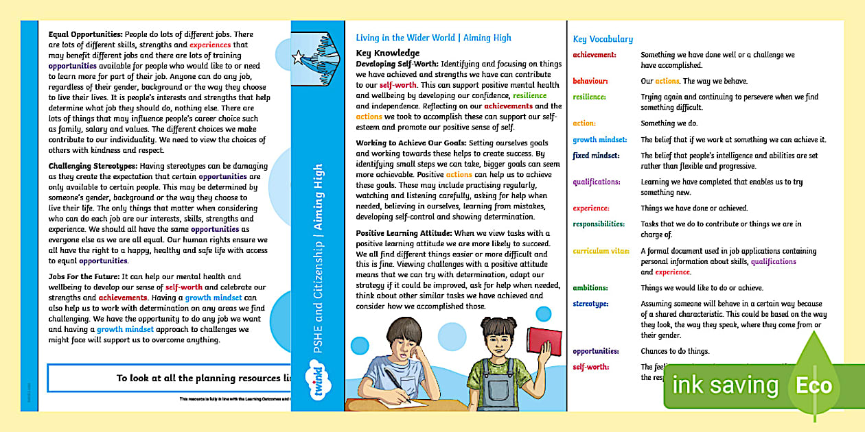 PSHE: LKS2 Aiming High - Knowledge Organiser (teacher made)