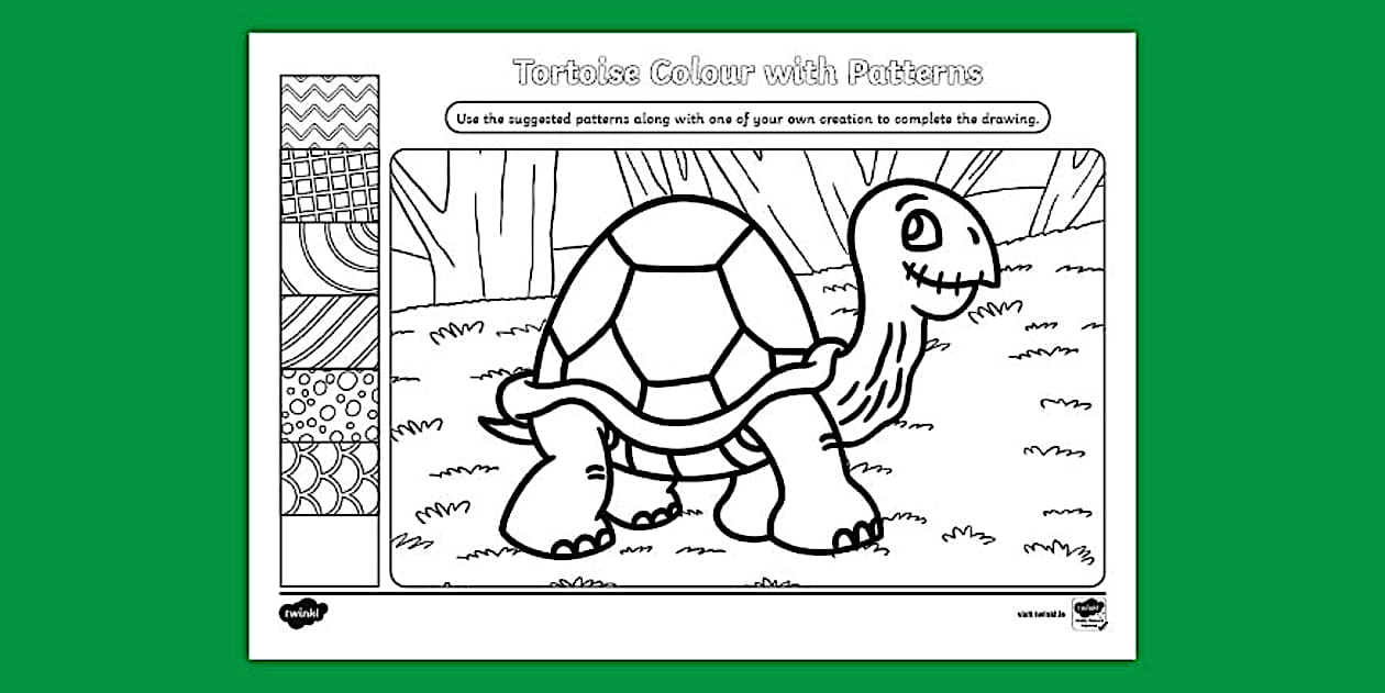 Tortoise Colour with Patterns Activity (Teacher-Made)