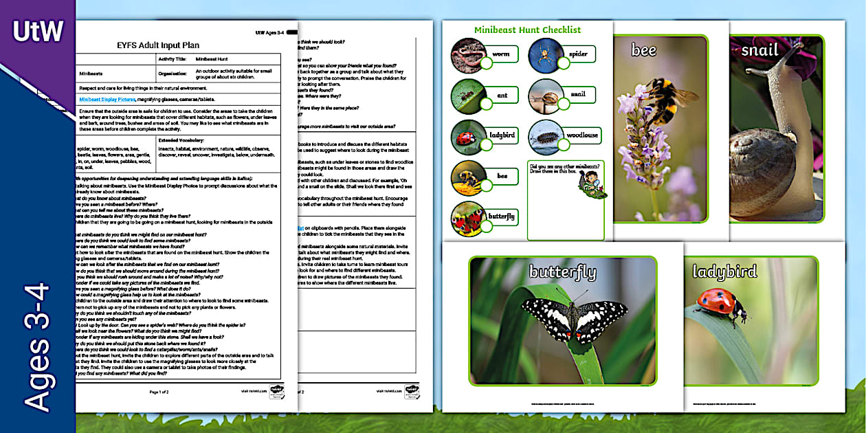 EYFS Minibeast Hunt Adult Input Plan and Resource Pack