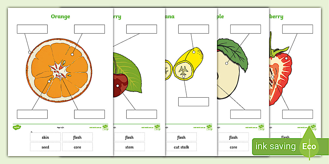 Labelling Parts of Fruit Activity Sheets Science - Twinkl