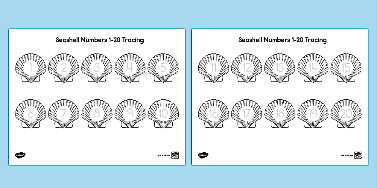 Seashell Number Tracing | World Oceans Day | Twinkl USA