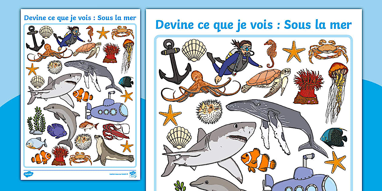 Poster pour jeu : Devine ce que je vois - sous la mer