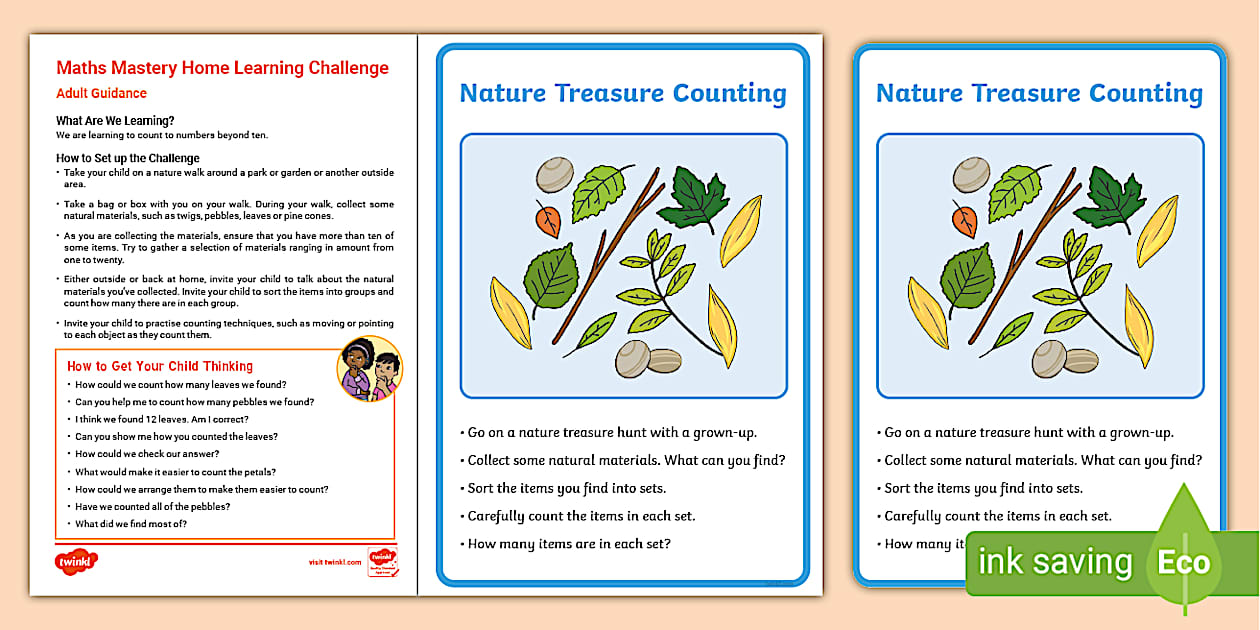 👉 EYFS Maths Counting Home Learning: Nature Treasure Counting