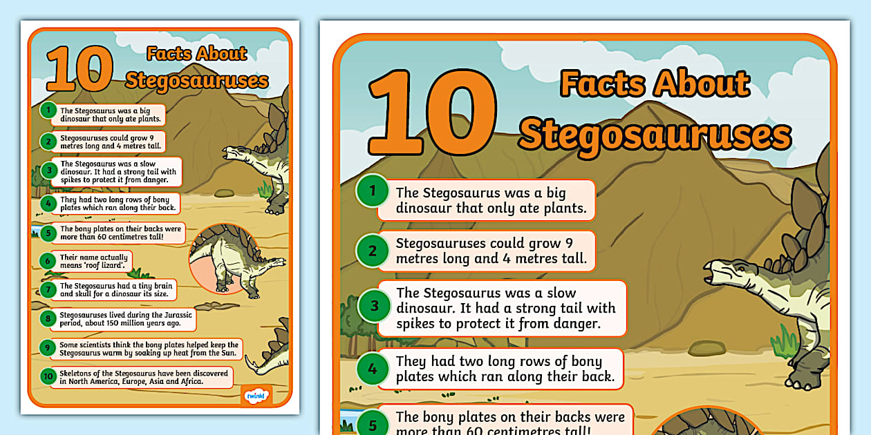 10 Facts About the Stegosaurus Display Poster (teacher made)