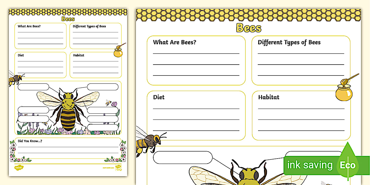 All About Bees Fact File Writing Template (teacher made)