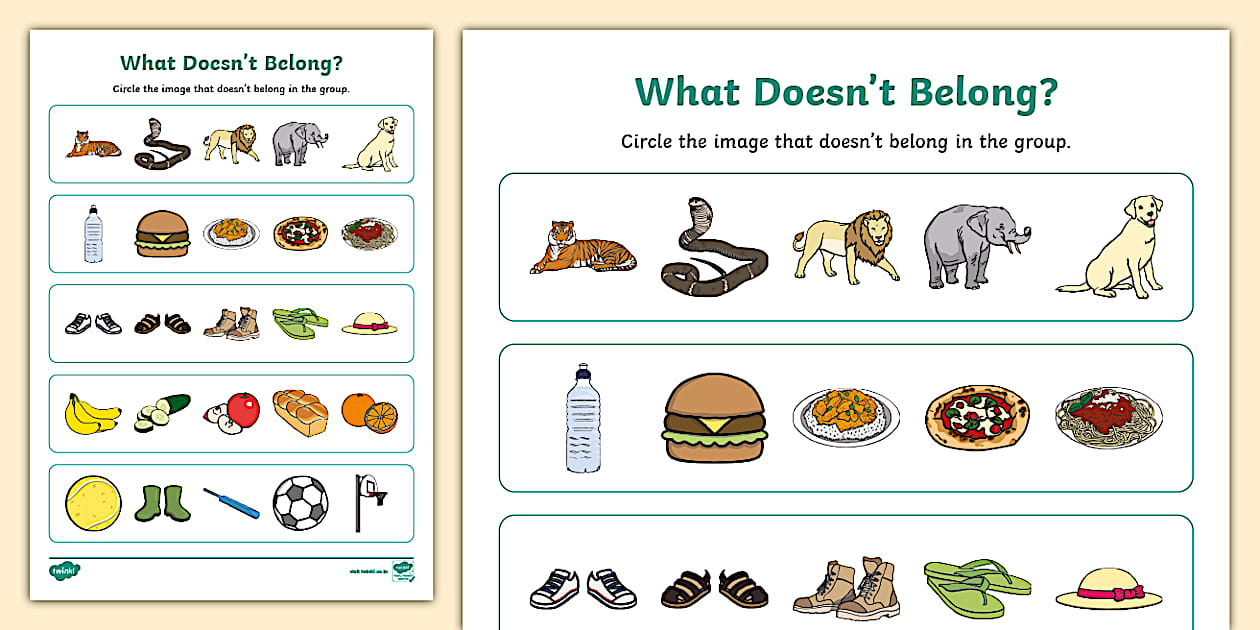 What Doesn't Belong? Worksheet (teacher made) - Twinkl