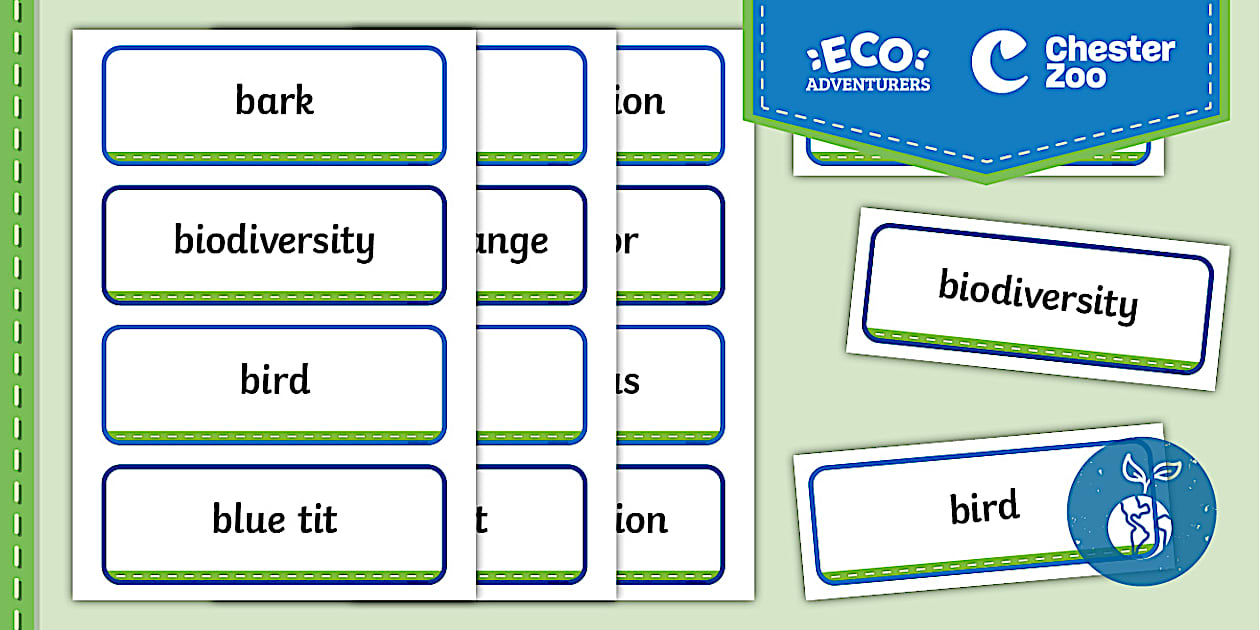 FREE! - Year 1 Biodiversity: Key Vocabulary Cards - Twinkl
