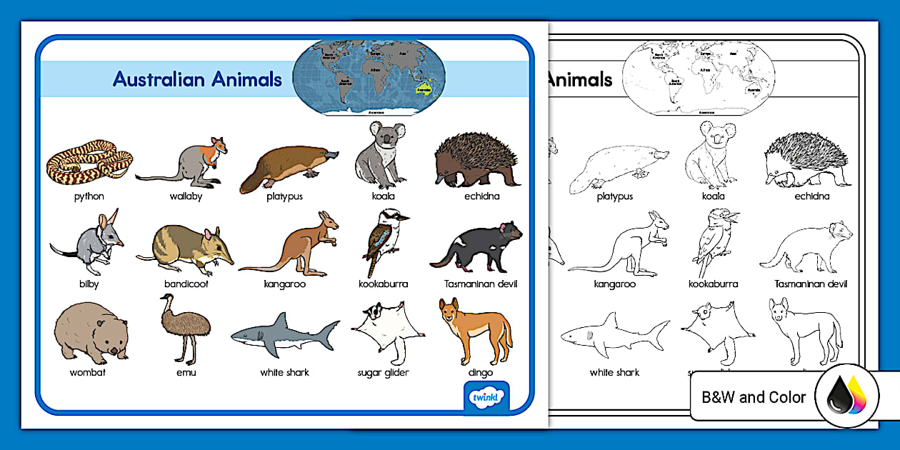 Australian Animals Word Mat (teacher made) - Twinkl