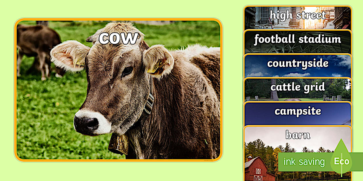 👉 Town and Country Photo Pack - ESL Town and Country Photos