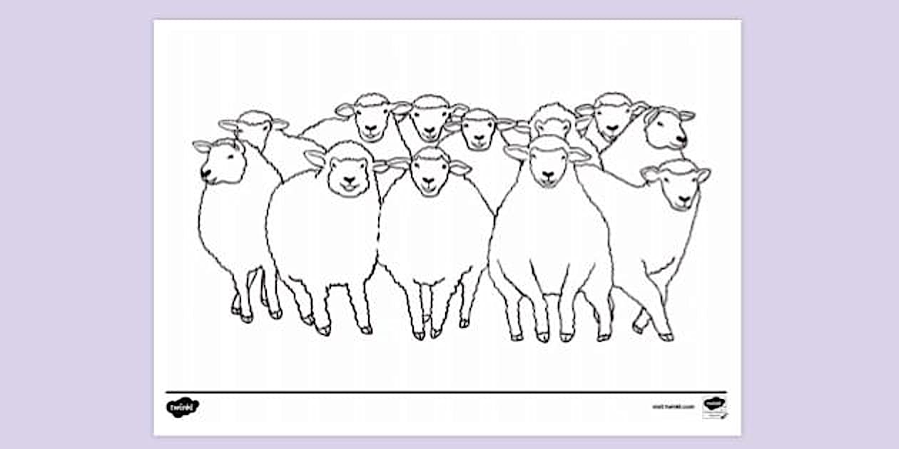 The Sheep Colouring Colouring | Colouring Sheets - Twinkl