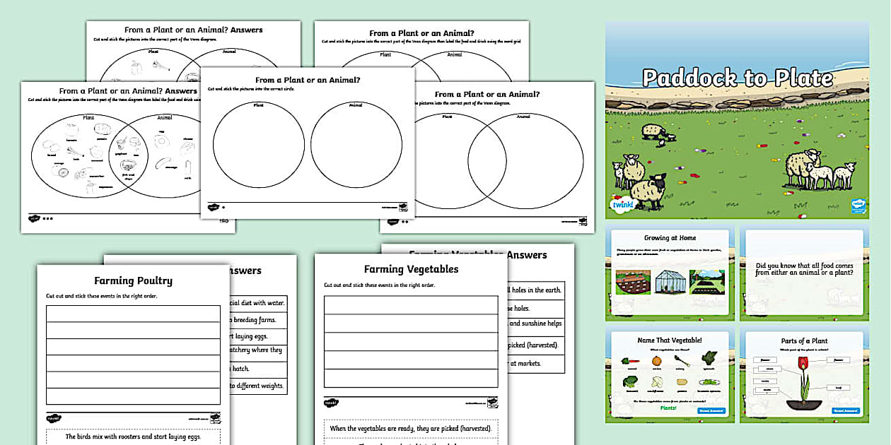Paddock to Plate PowerPoint Pack (teacher made) - Twinkl