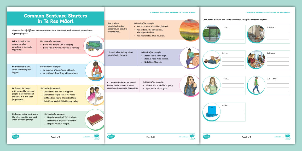 Common Sentence Starters in Te Reo Māori (teacher made)