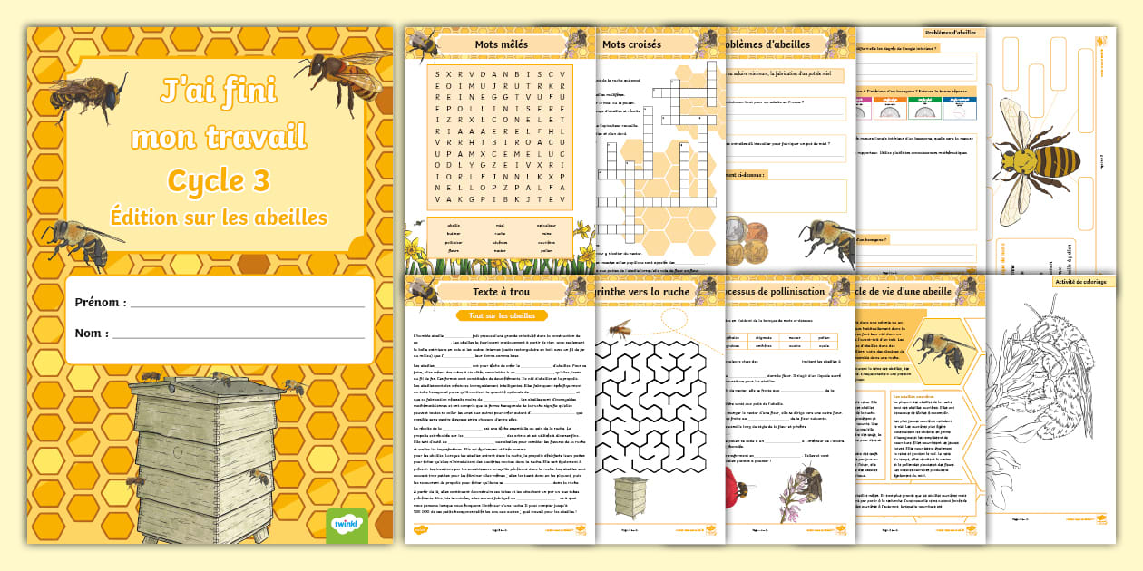 J'ai fini mon travail - cycle 3 - édition sur les abeilles