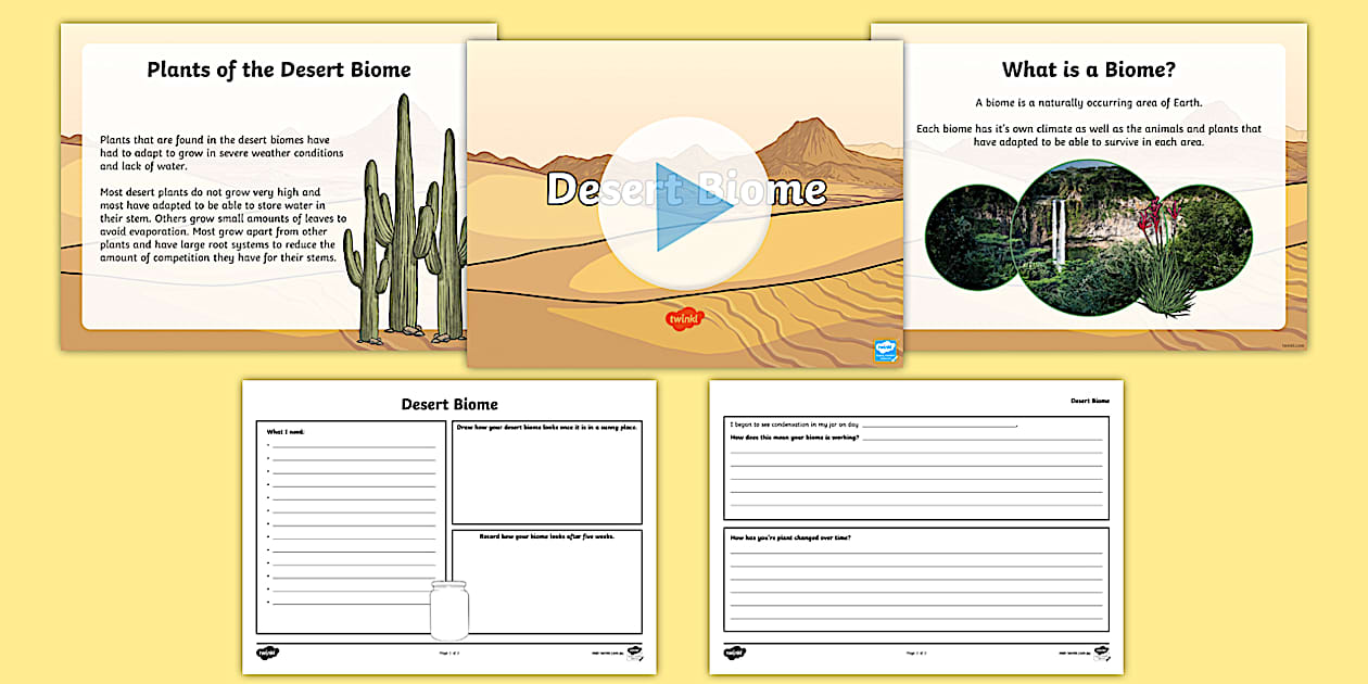 Desert Biome Plants and Animals STEM Activity Pack - Twinkl
