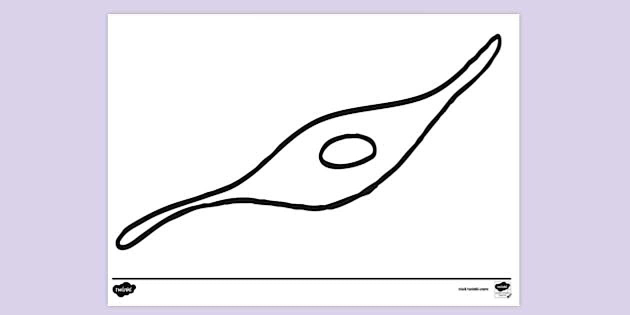 Colouring | Colouring Sheets (teacher made) - Twinkl