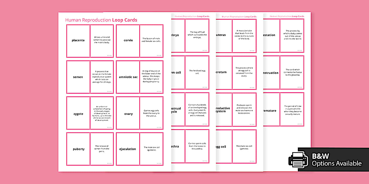 Human Reproductive System Loop Cards (teacher made) - Twinkl