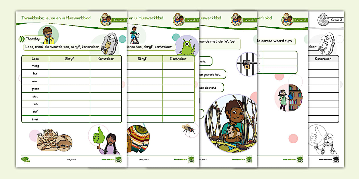 Graad 3 Klanke Huiswerk ie, oe, ui (teacher made) - Twinkl