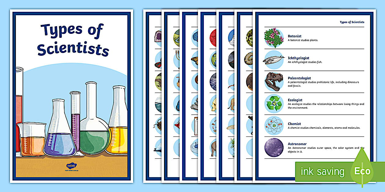 Types of Scientists Display Posters (teacher made) - Twinkl