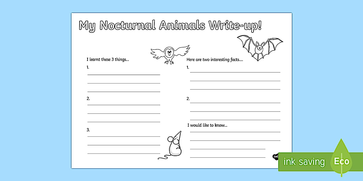Nocturnal Animals Write Up Worksheet - Adaptation - Twinkl
