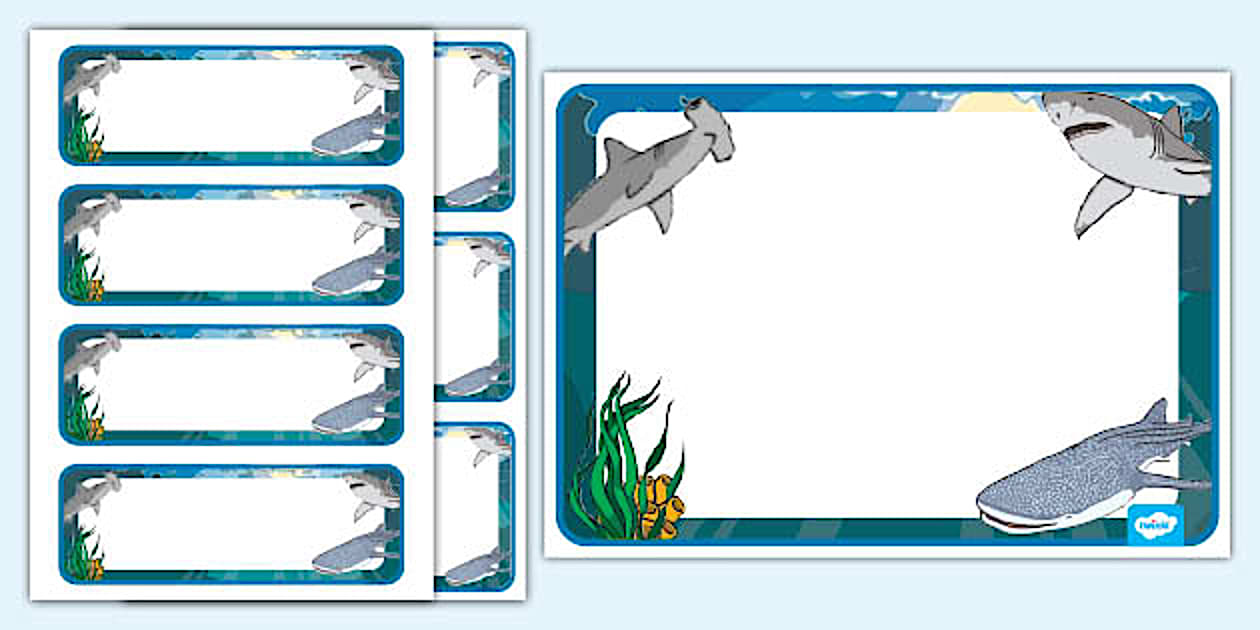 Editable Shark Themed Classroom Display Labels - KS1
